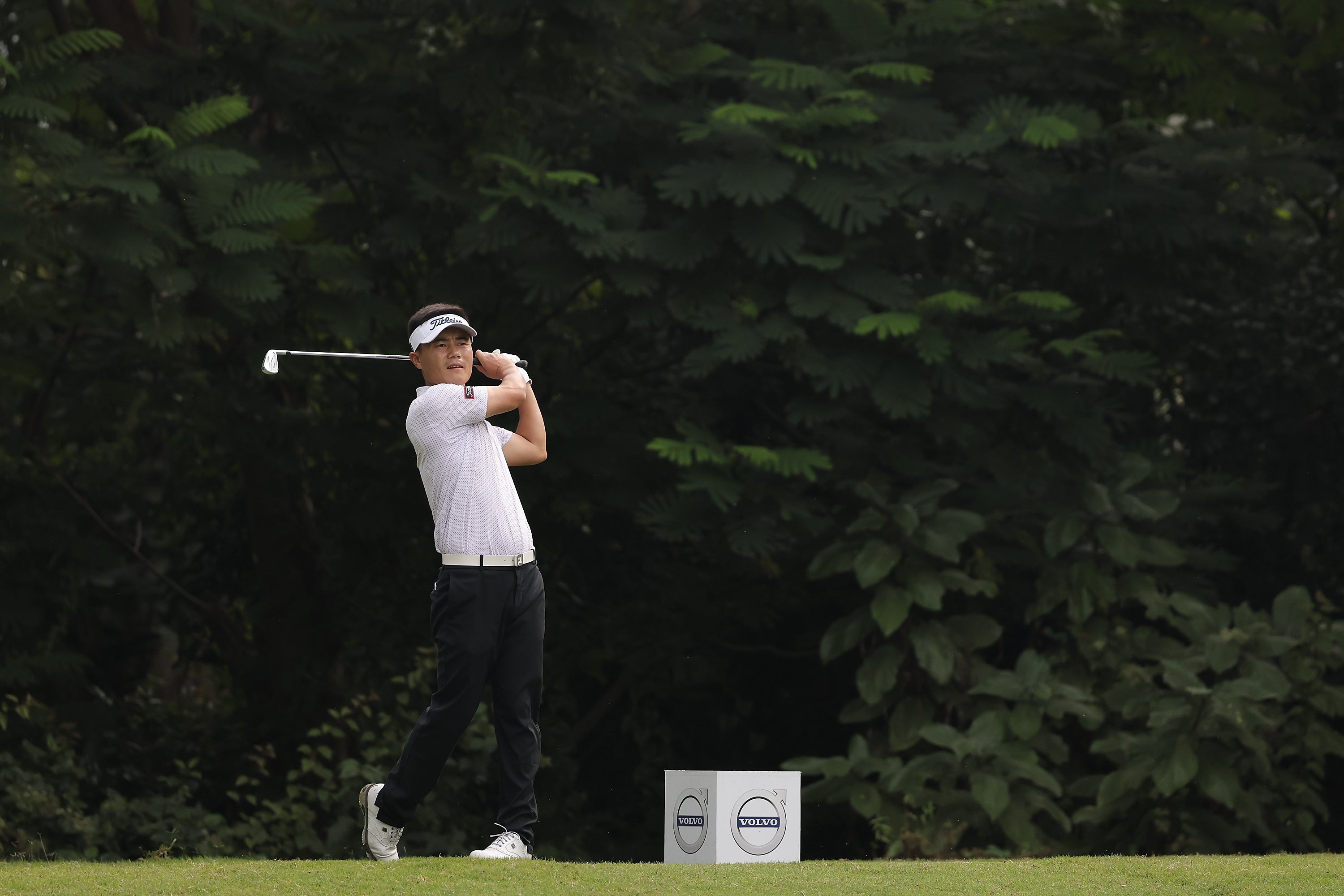 Official World Golf Ranking - Player Profile