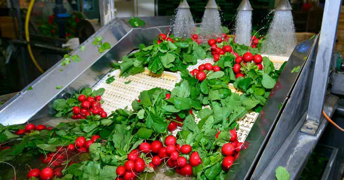 Perishable Prepared Food Manufacturing Insurance | Trusted Choice