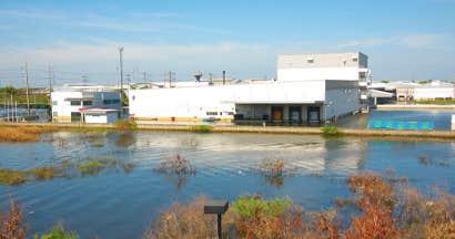 What To Know about Alien Abduction Insurance | Trusted Choice