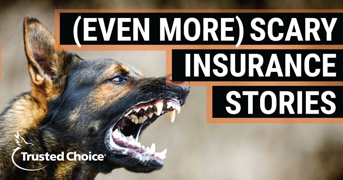 More Scary Insurance Horror Stories | Trusted Choice