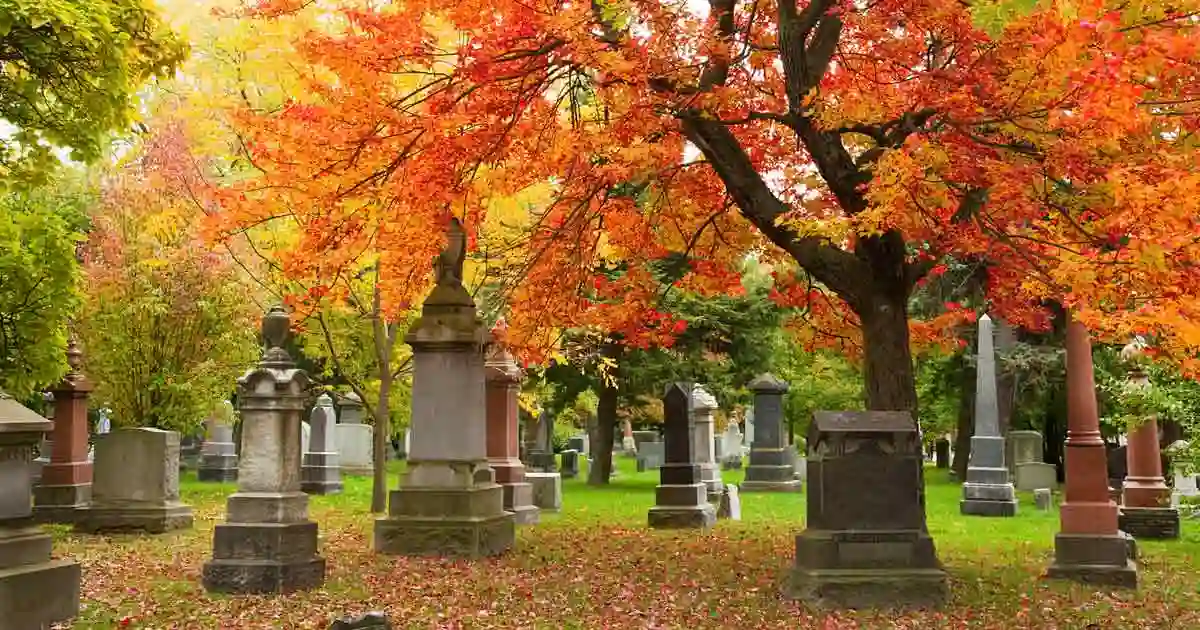 Cemetery Insurance | Insurance for Cemeteries | Trusted Choice