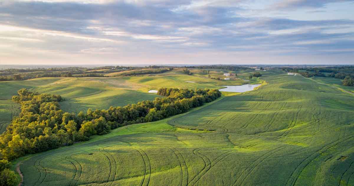 Missouri Farm Laws & Regulations | Trusted Choice
