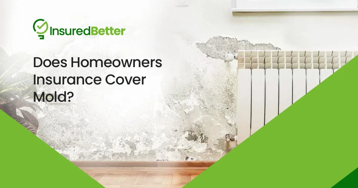 Does Homeowners Insurance Cover Mold? | InsuredBetter