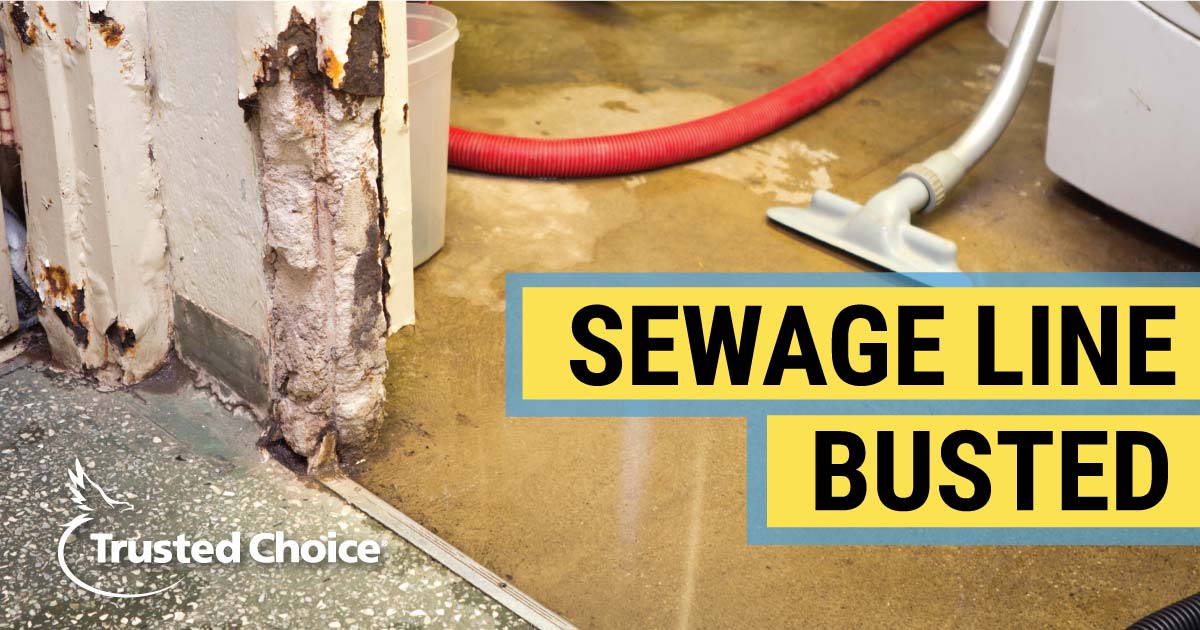 Busted Sewage Line: Who's Responsible? | Trusted Choice