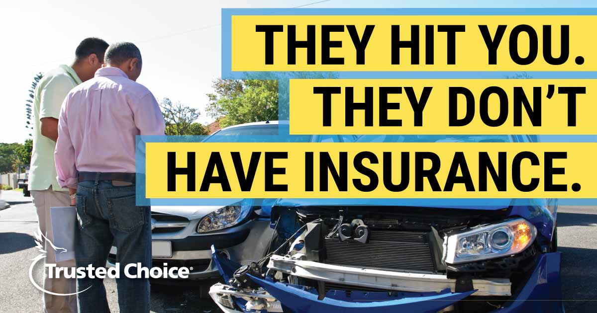 At-Fault Driver Has No Car Insurance | Trusted Choice