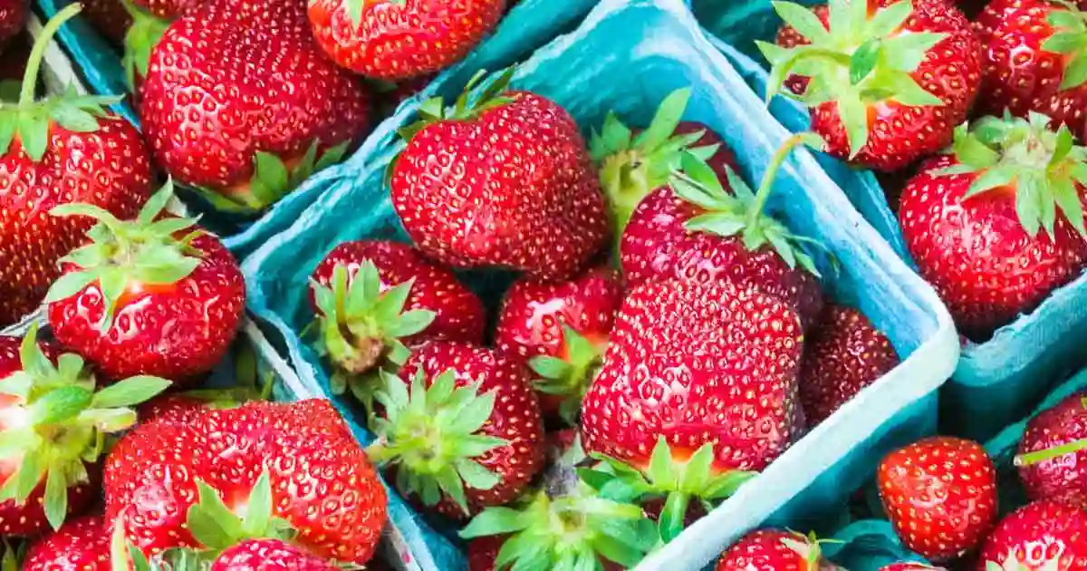 Farmers Market Insurance | Trusted Choice