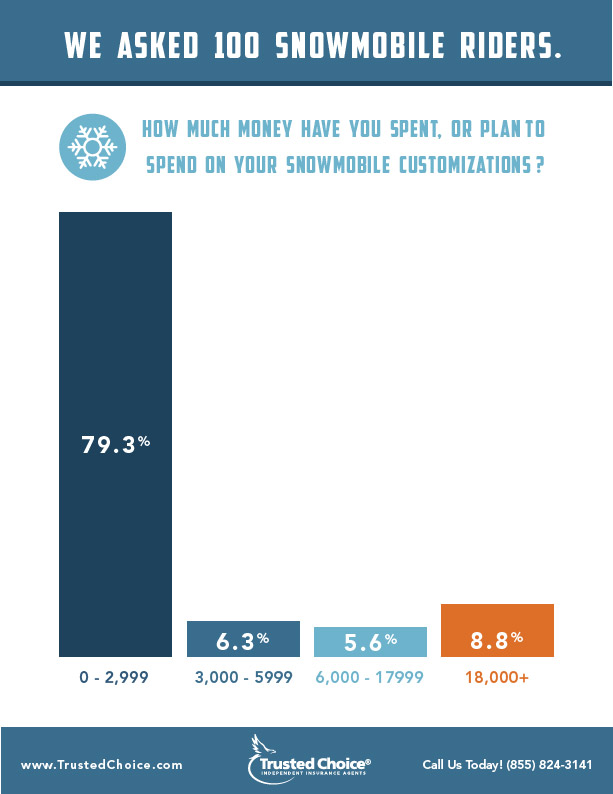 Customizing Your Snowmobile | Trusted Choice