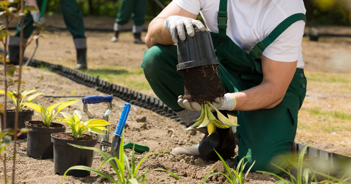 Insurance Coverage for Landscaping and Utilities | Trusted Choice