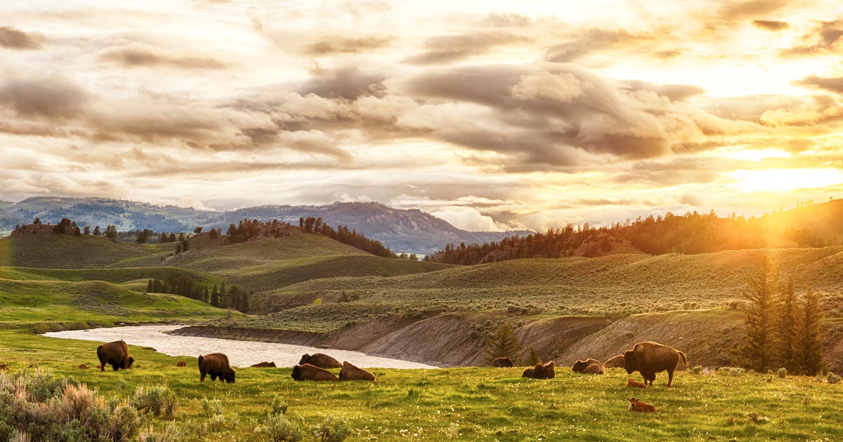 A Guide to Moving to: Wyoming | Trusted Choice