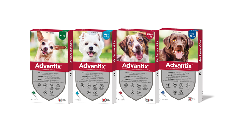 Nuestros productos | myElanco