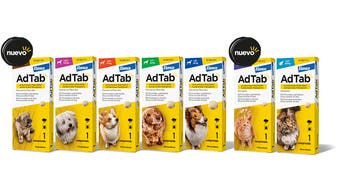 Nuestros productos | myElanco