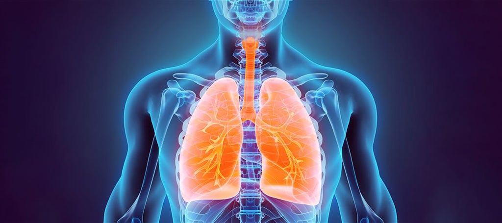 What is the National Lung Cancer Screening Program? | I-MED Radiology ...