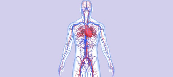 CT scan 101: everything you need to know | I-MED Radiology Network