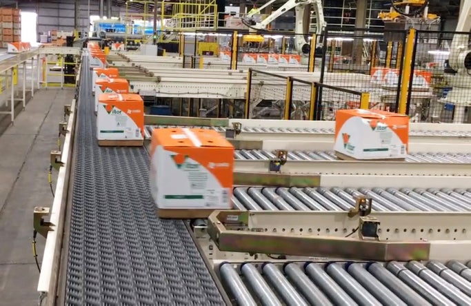 Case Study: Costa Group | Intralox