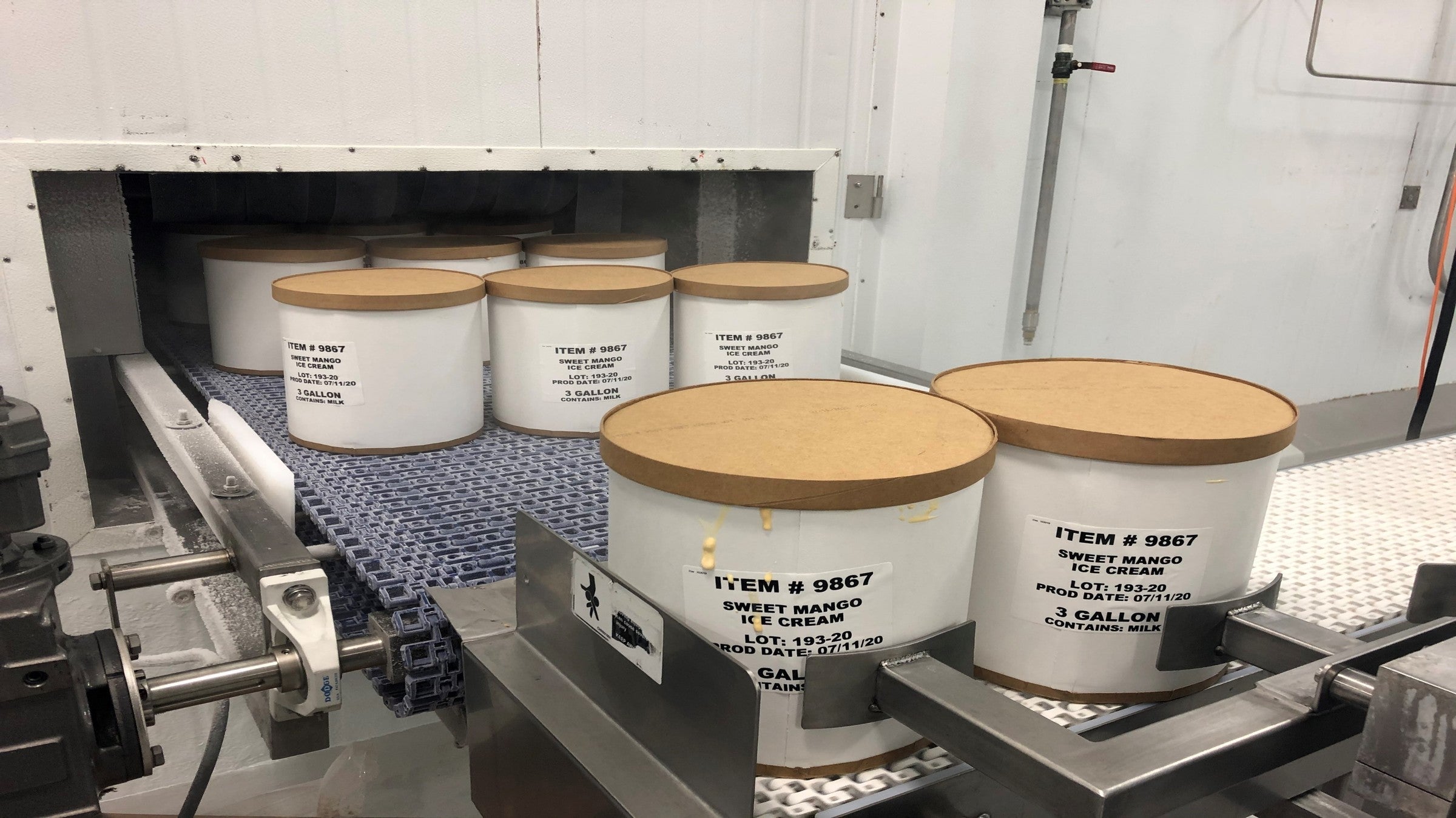 Case Study: MyMochi | Intralox