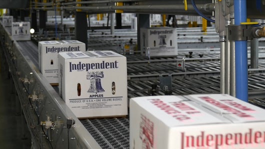 ARB Activated Roller Belt Conveyors & Equipment | Intralox