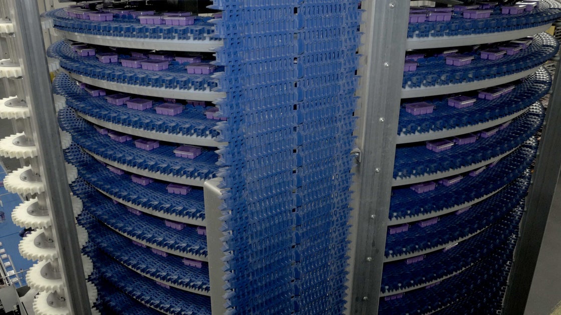 Case Study: Rimports | Intralox