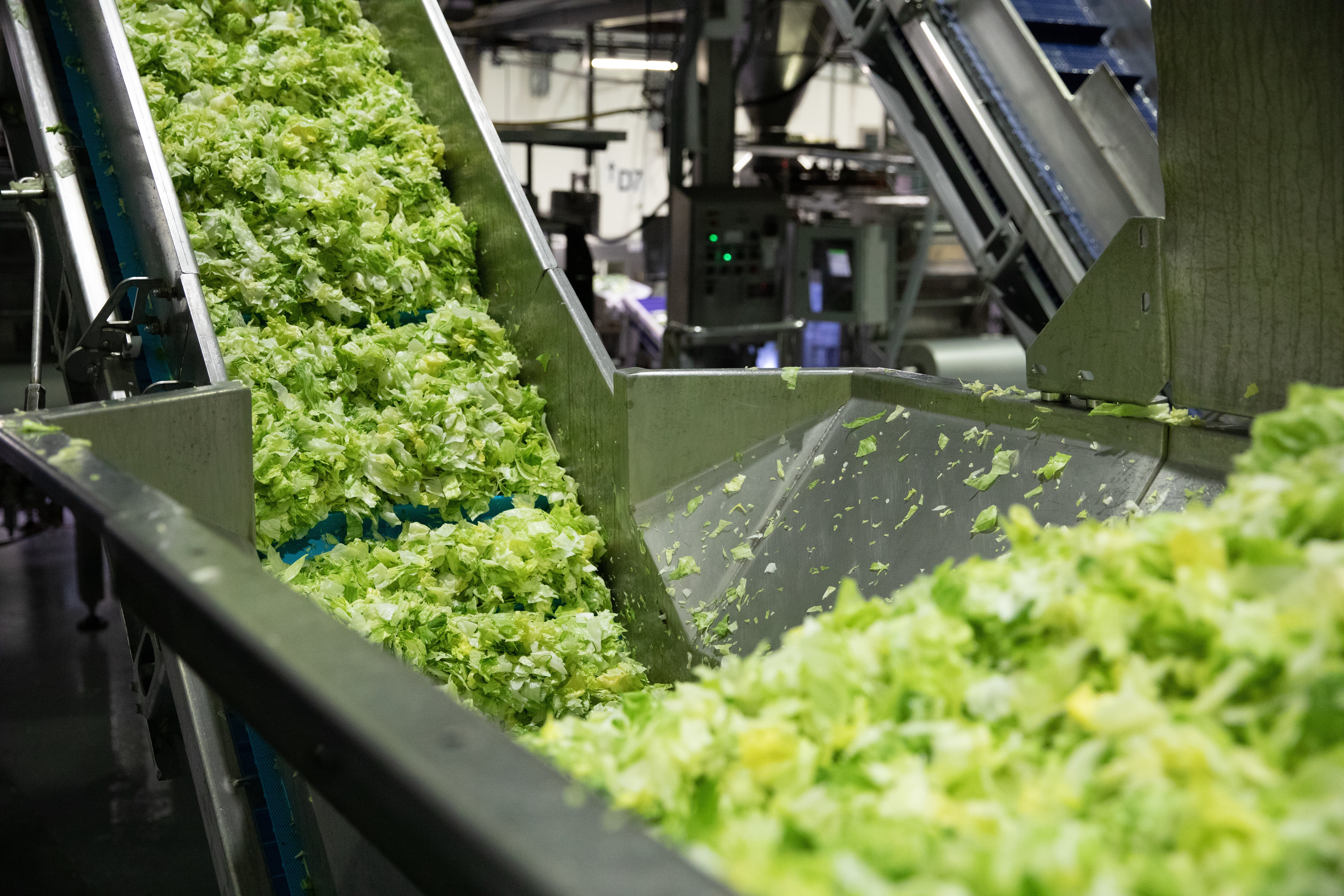 Conveyance systems for fruit and vegetable processing | Intralox
