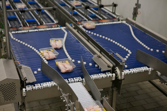 Case Study: Avigal | GUADAÍRA | Intralox