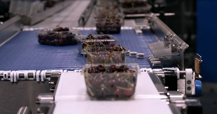 導入事例：Stemilt Growers社 | METTLER TOLEDO社 | Intralox