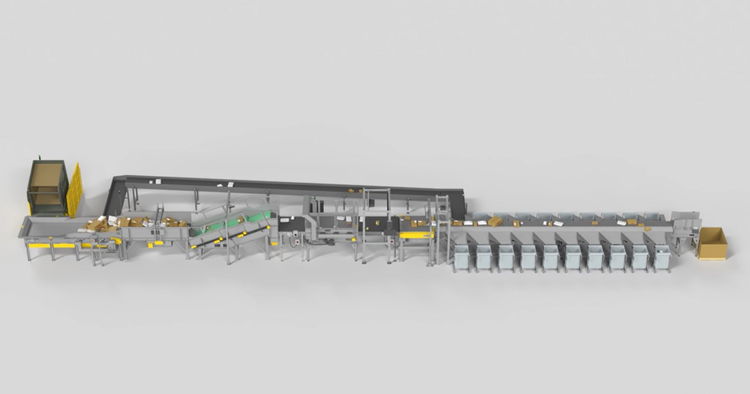Navigating the Building Blocks of Automation in Parcel Sortation | Intralox