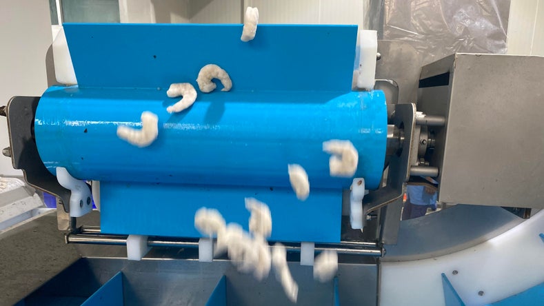 Case Study: Ananda Group | Intralox