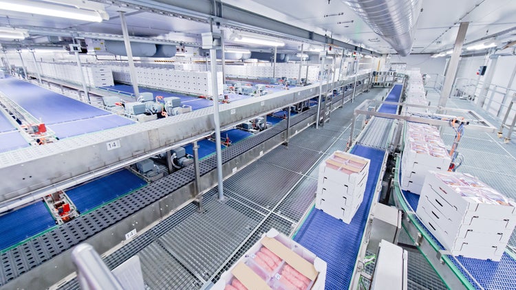 Case Study: Helmers Maschinenbau | Intralox