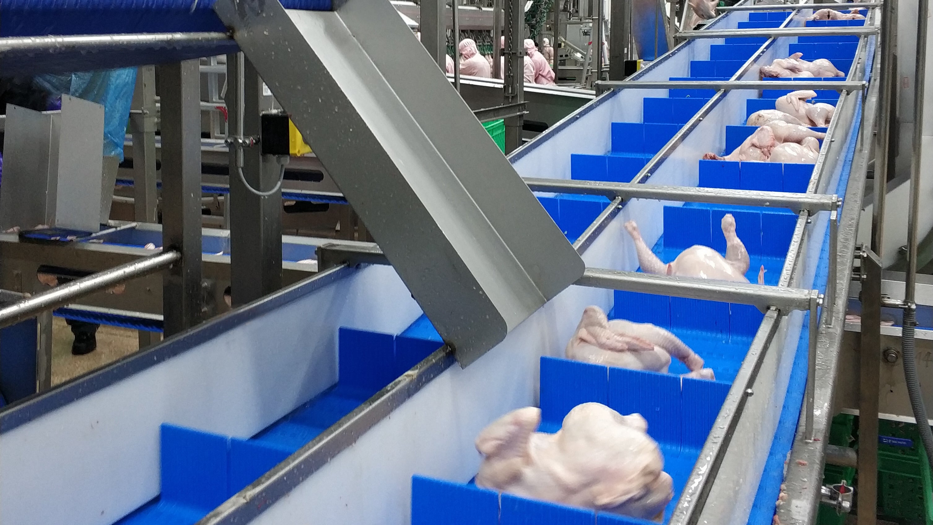 Case Study: Fujian Sunner Development | Intralox