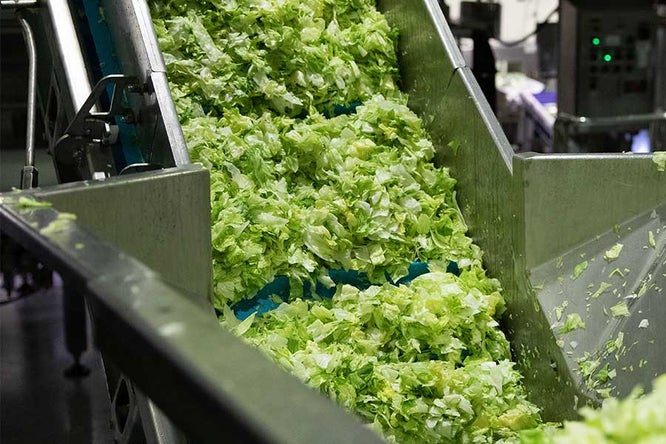 ThermoDrive Incline Retrofit Reduces Changeover Time by 58% | Intralox