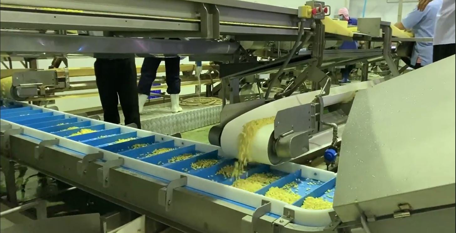 Case Study: Siam Del Monte | Intralox