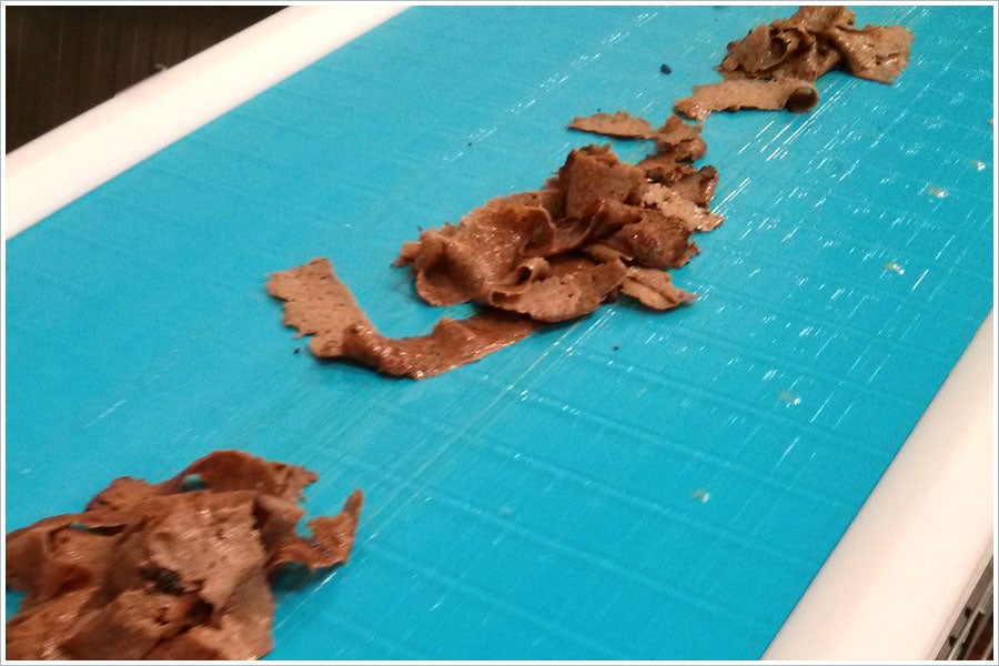 Case Study: Namet | Intralox