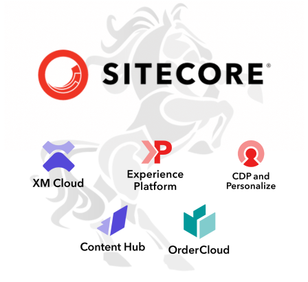 Sitecore Digital Agency | Konabos