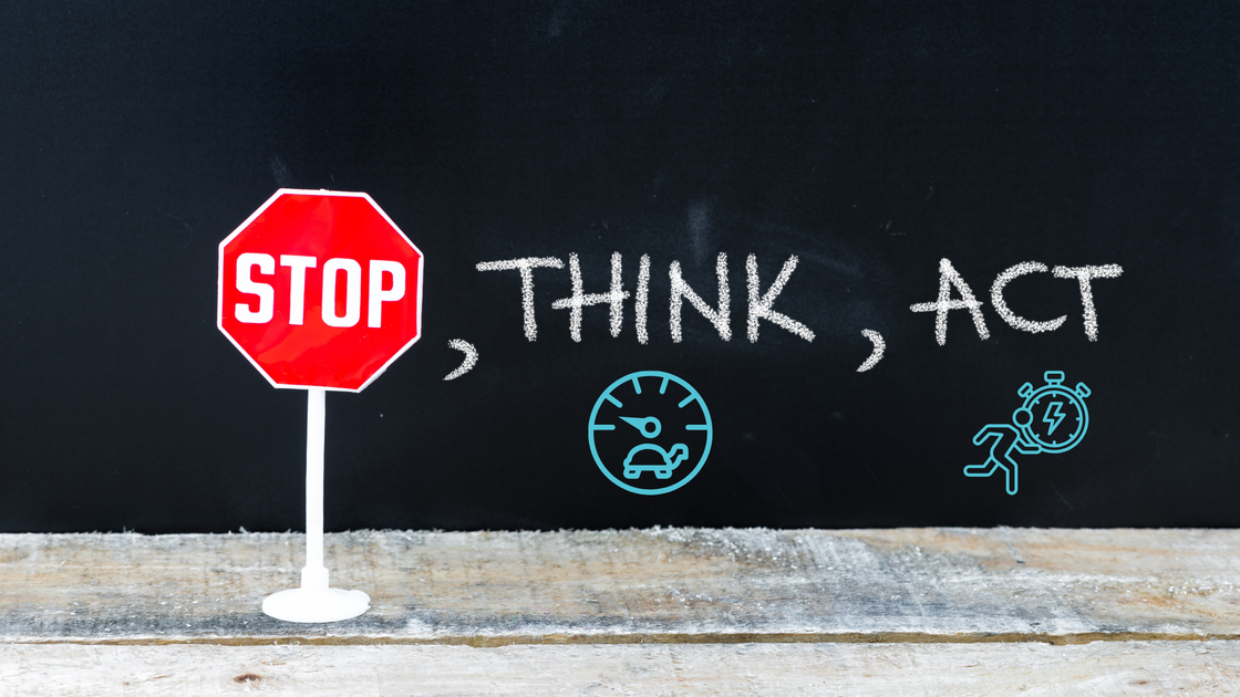 Think Slow, Act Fast: How to Save Projects from Disastrous Failures ...