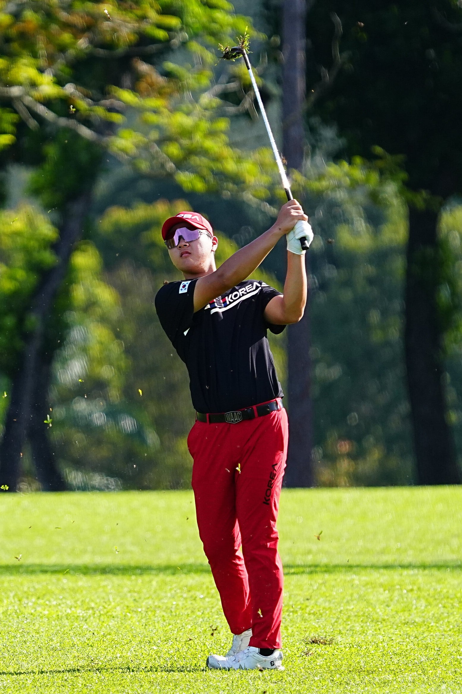 The World Amateur Golf Rankings® (WAGR®) | The Official Men's and Women ...