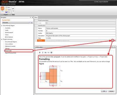 Report in Detail application | IDEA StatiCa