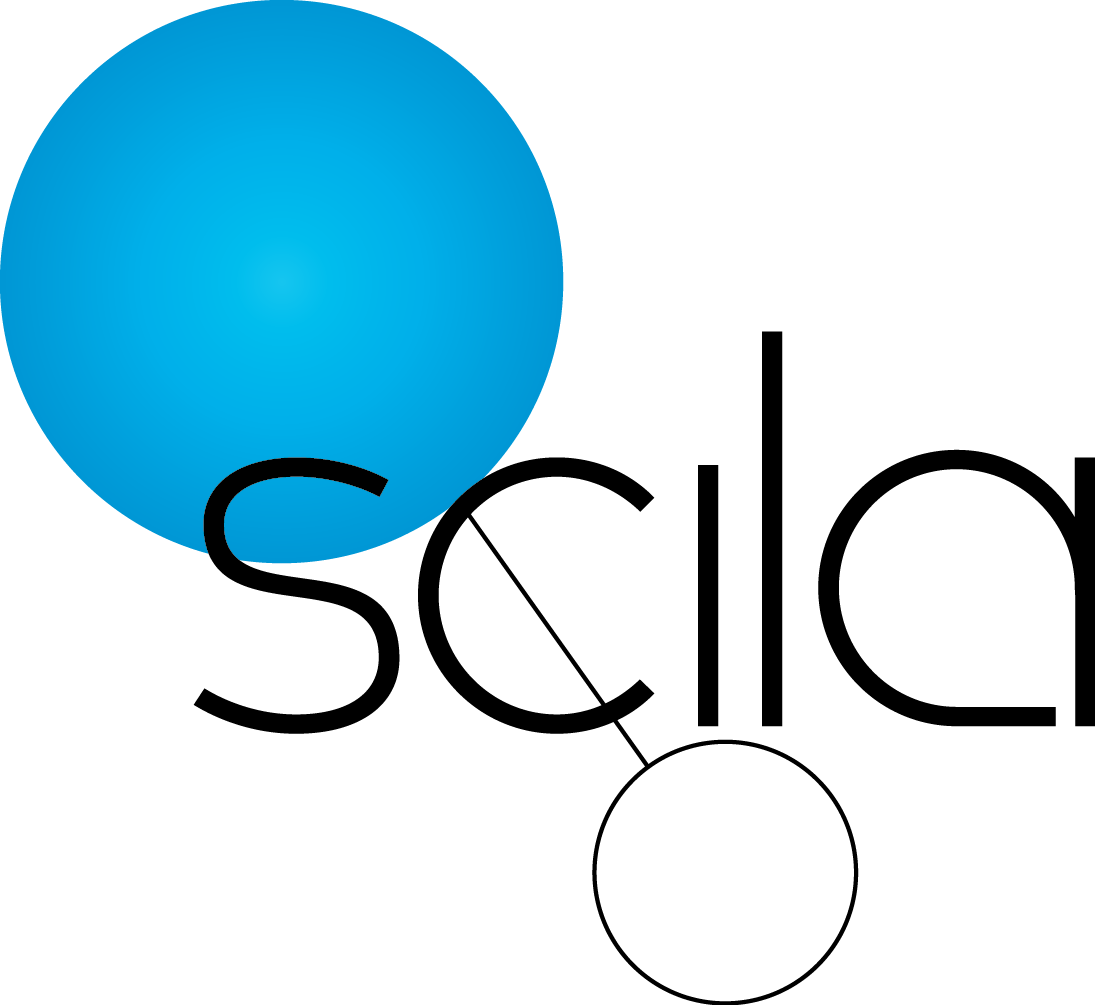 SCILA | IDEA StatiCa