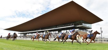 Curragh Racecourse, Newbridge, Ireland | IDEA StatiCa