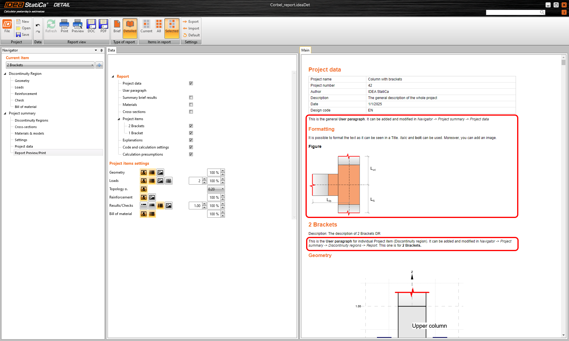 Report in Detail application | IDEA StatiCa