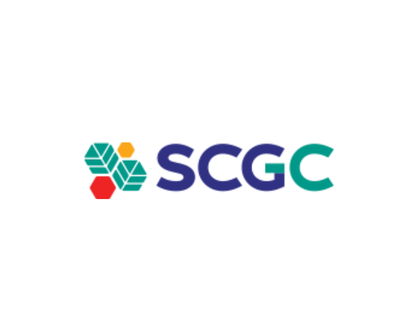 SCG Chemicals Public Company Limited | IDEA StatiCa