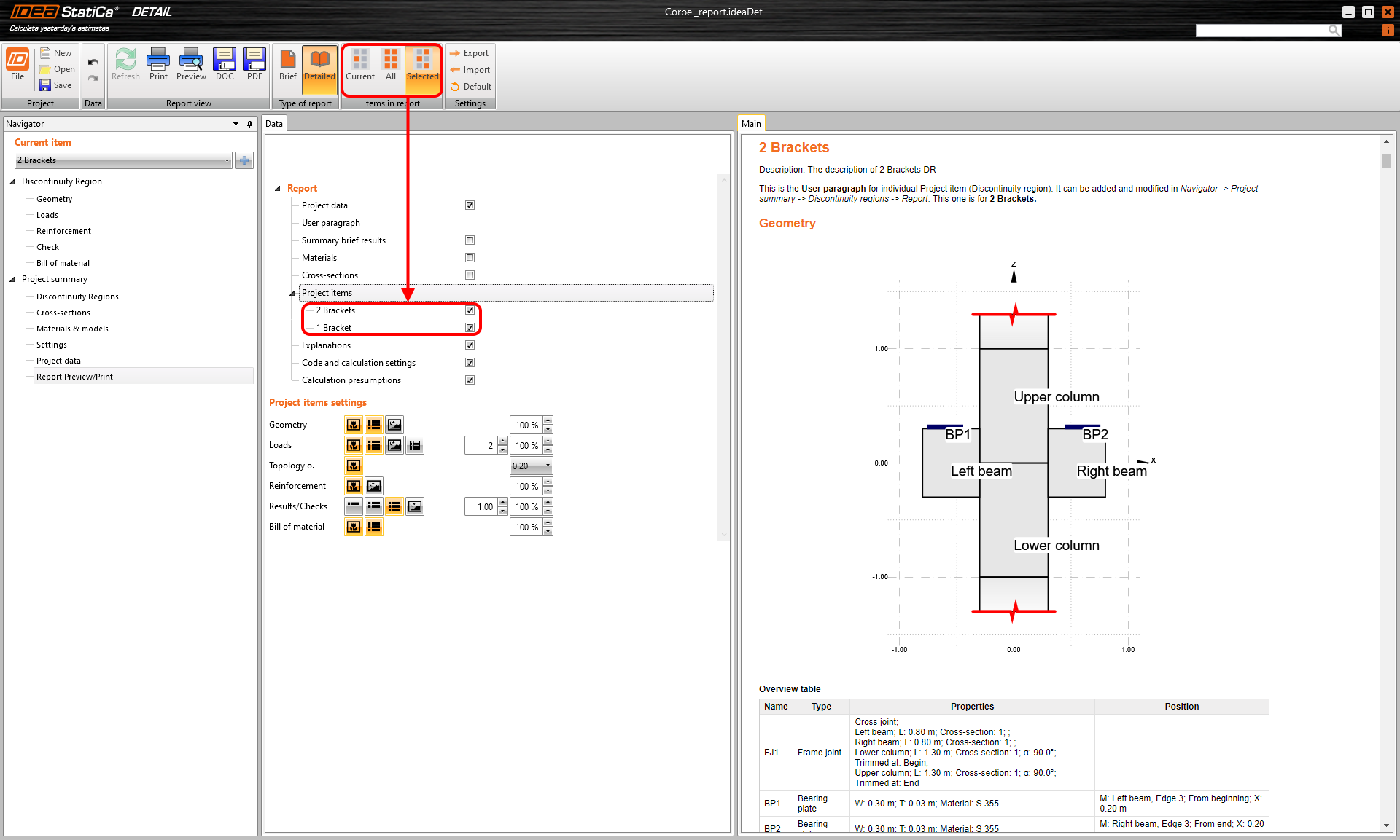 Report in Detail application | IDEA StatiCa