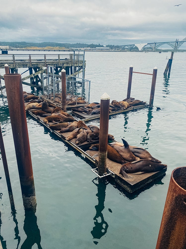 Beating the Odds | A Mother‑Son woom Adventure in Oregon