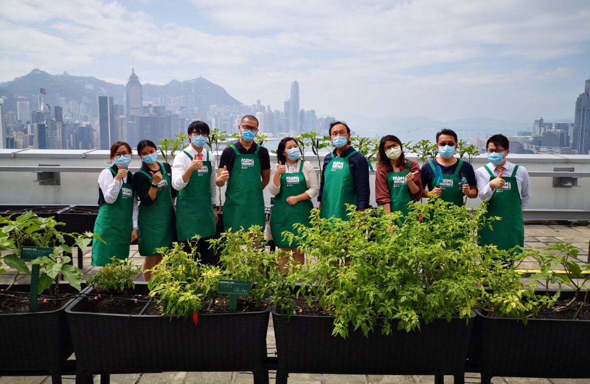 Farm Together Tours and Workshops | Sino Group