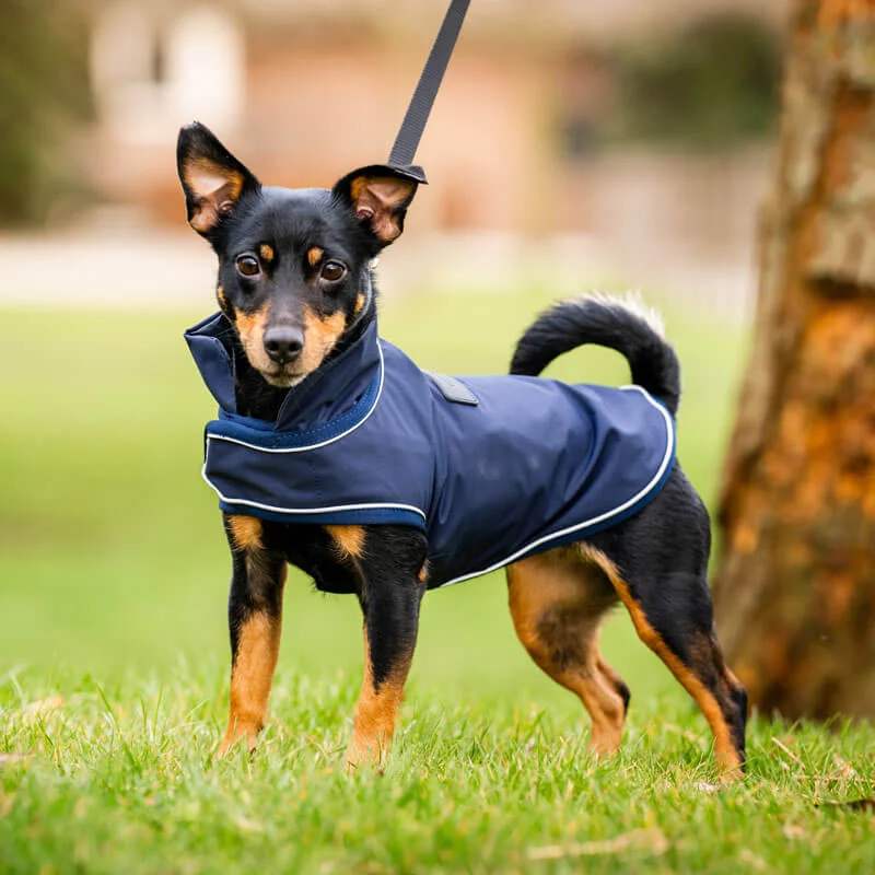 Signature Collection