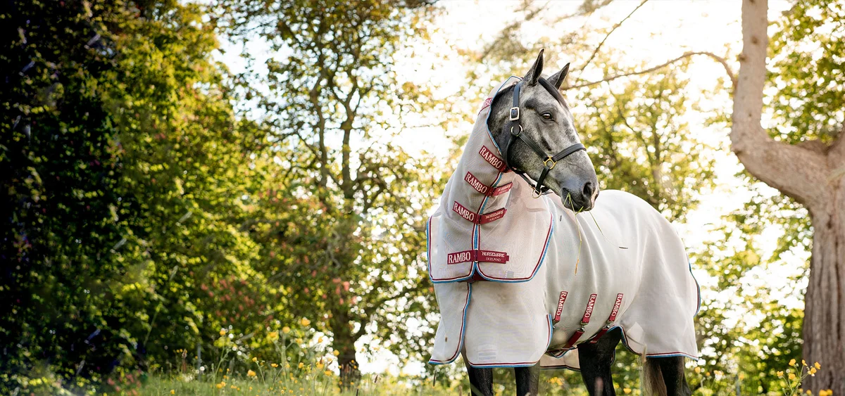 Spring Summer Horse Essentials