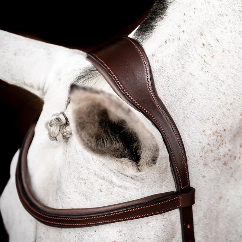 The New Horseware Micklem Bridle