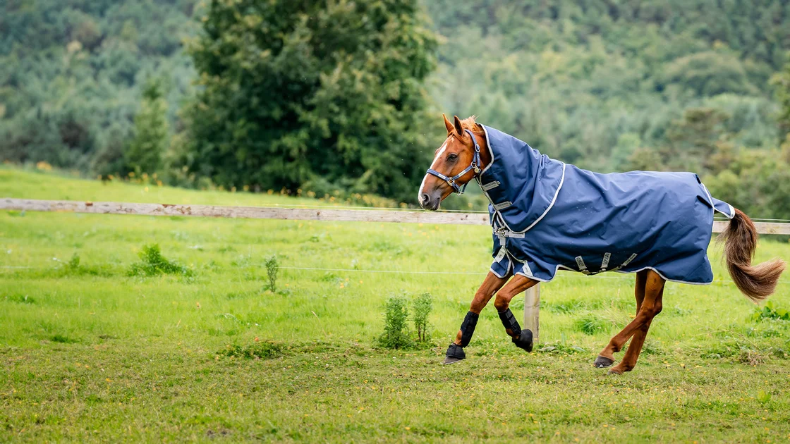 Horseware Ireland® Official United States Online Store - Shop ...