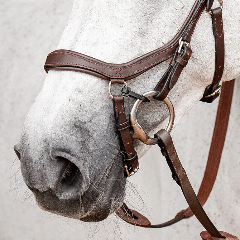 The New Horseware Micklem Bridle