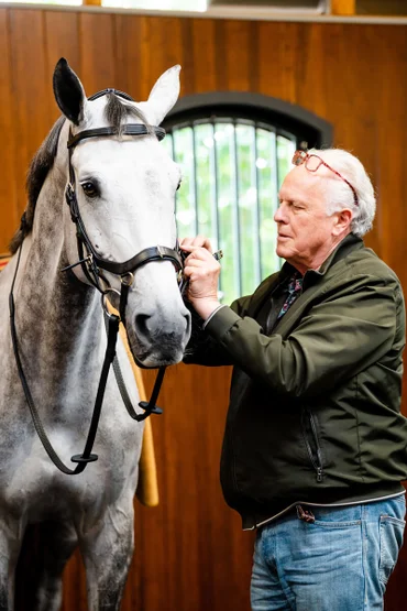 The New Horseware Micklem Bridle