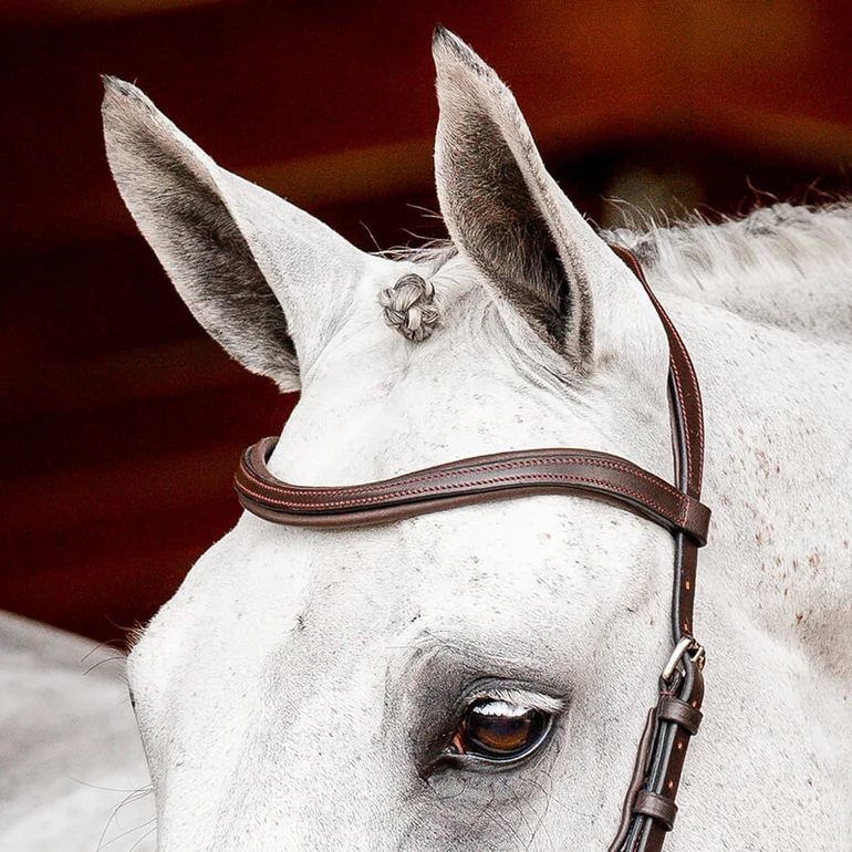 The New Horseware Micklem Bridle