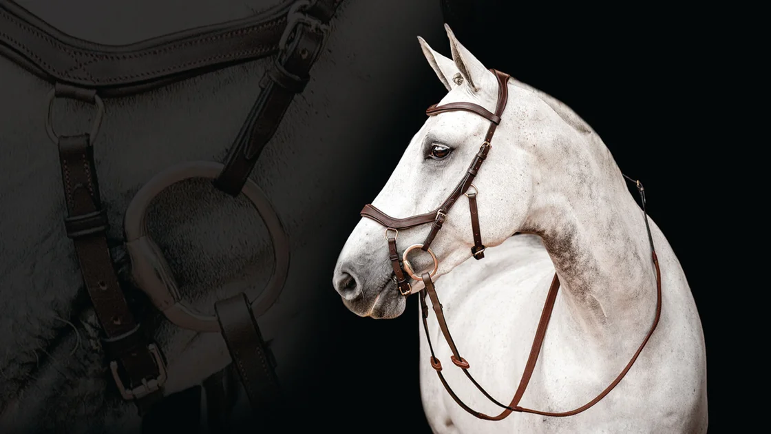 The New Horseware Micklem Bridle